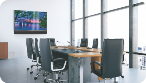 Control Hardware - SAVI